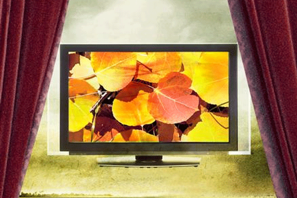 Chasing Roots: My 10th Favorite Day of the Year