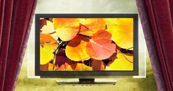 Chasing Roots: My 10th Favorite Day of the Year