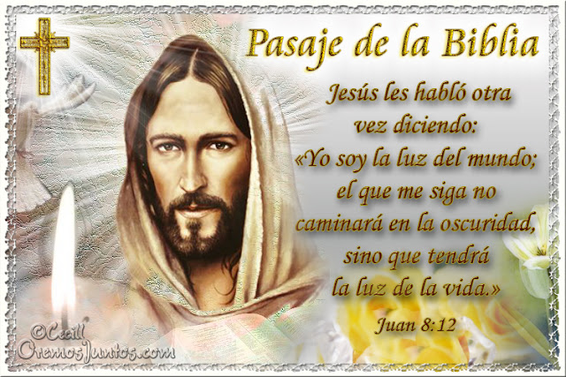 Vidas Santas: Santo Evangelio según san Juan 8:12