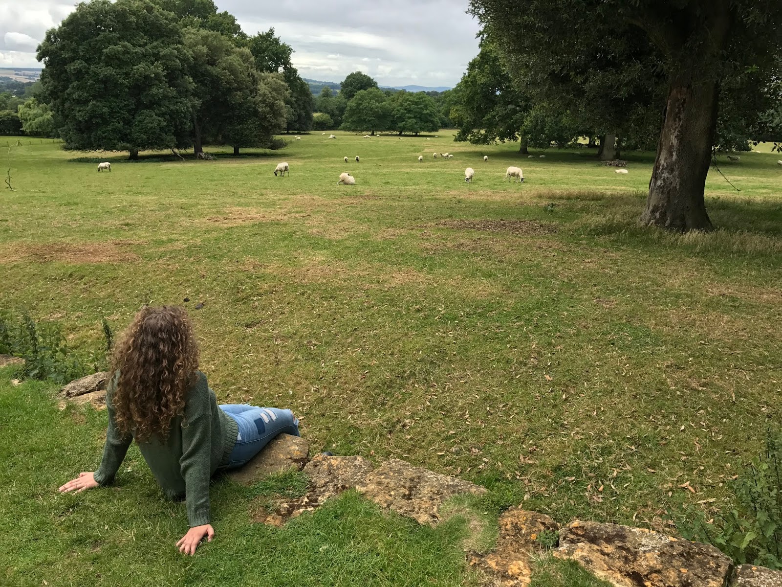 The Helpful Art Teacher: Photography 101: types of camera shots