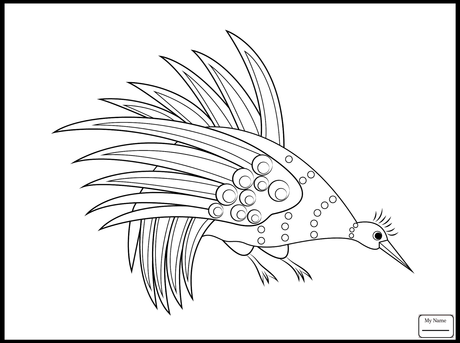 bowerbird bird coloring pages - jiahajava
