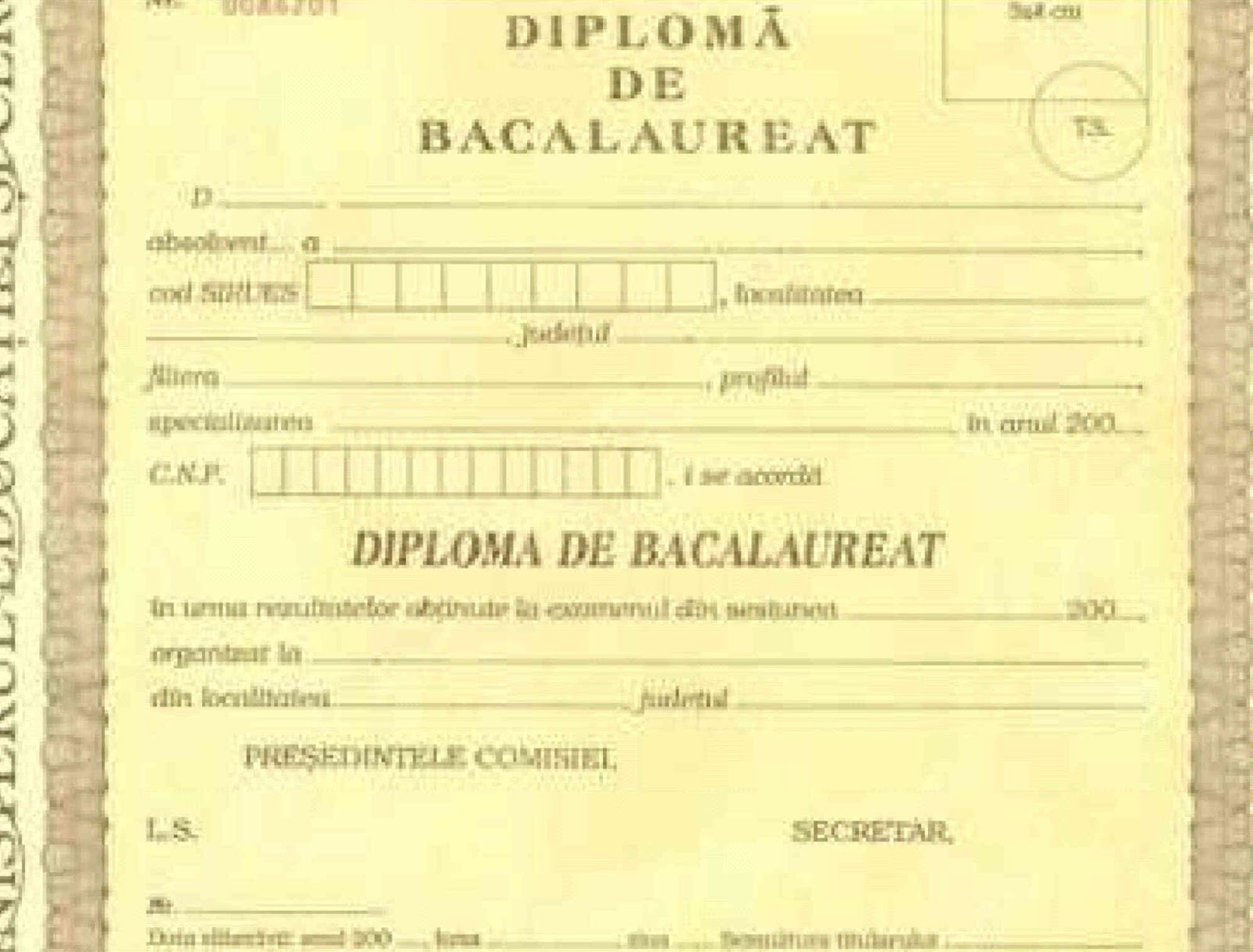Maison de Cannelle: diploma de BACalaureat