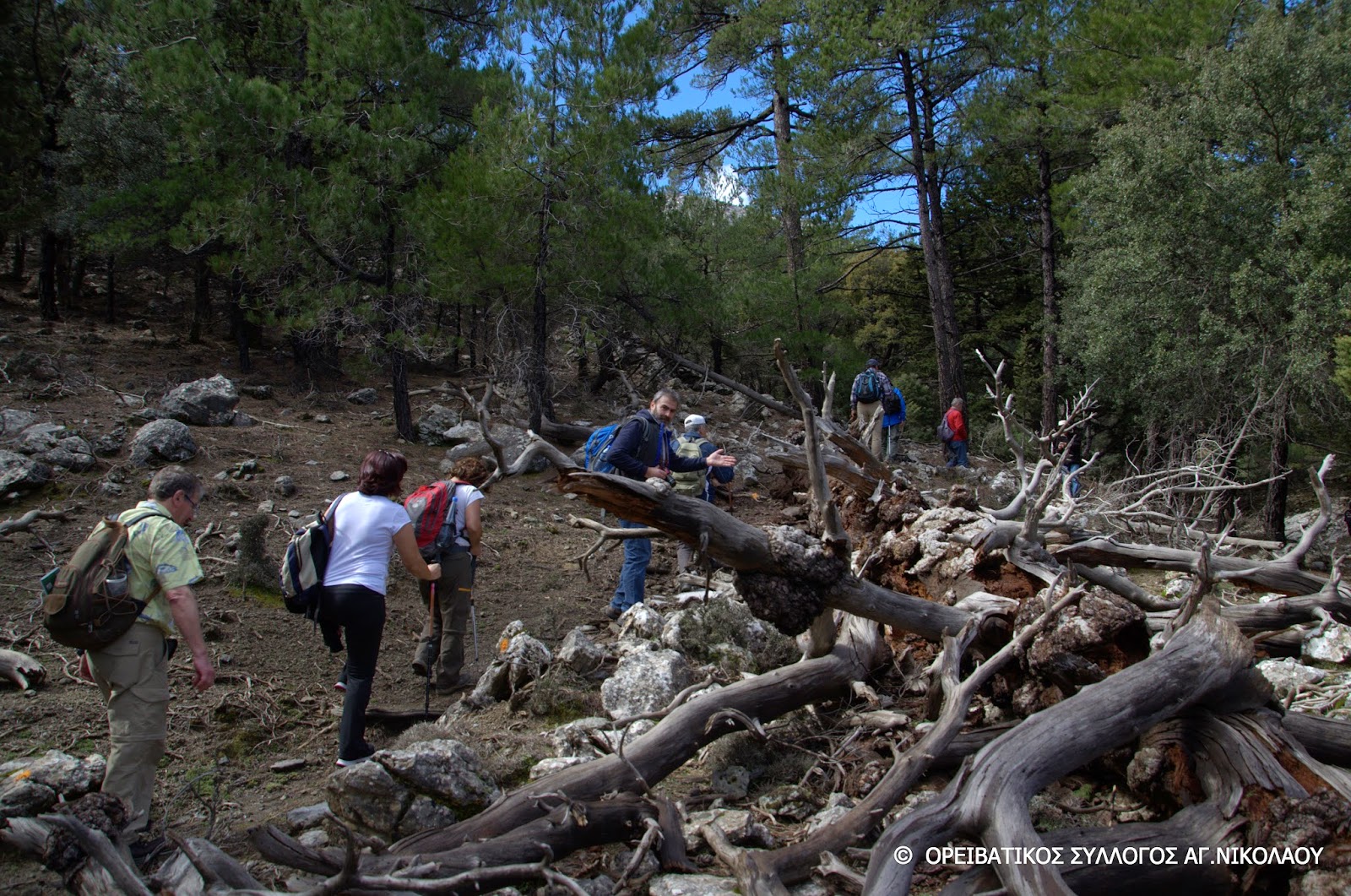 EXPLORE MOUNTAINS: ΠΕΖΟΠΟΡΙΑ :ΜΕΤΑΞΟΧΩΡΙ-ΠΗΓΗ ΣΚΑΦΙΔΙΑ-ΚΑΛΥΒΕΣ-ΖΩΝΑΡΙ ...