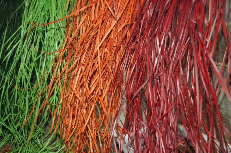 GEMALA RAYA ENTERPRISE (Reg: PG0389991-X): Menkuang @ Screwpine Leaves