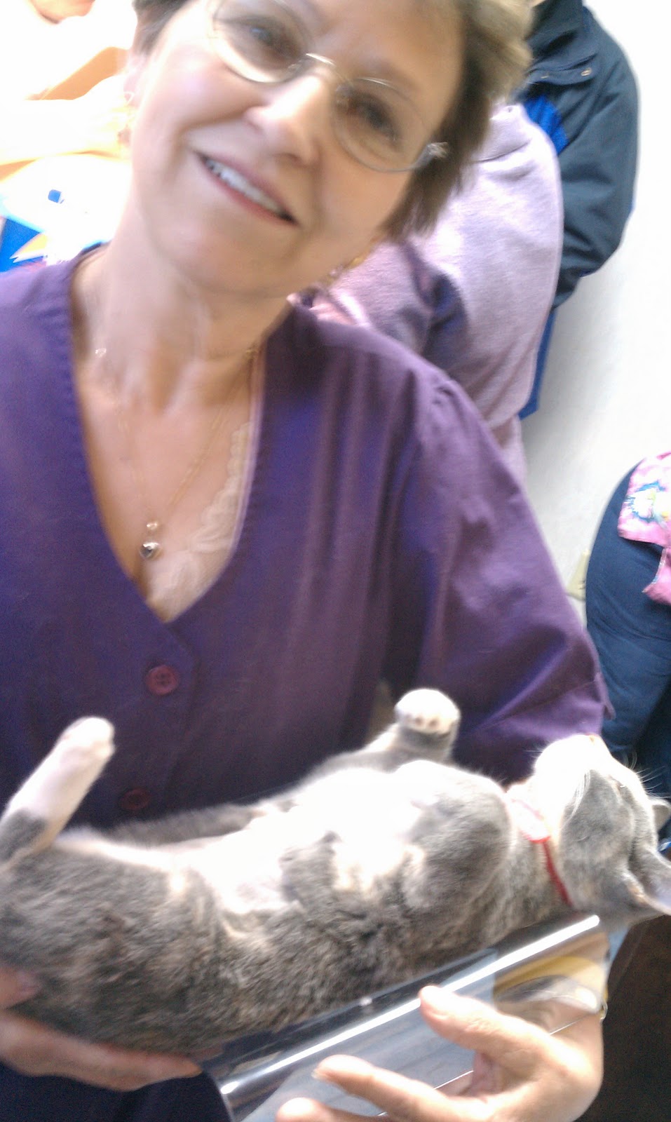 Purr-Views: Post Op Report on Operation CatSnip