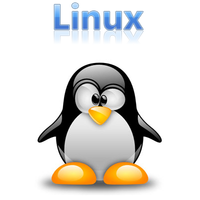 Qual a diferença entre o Ubuntu e o Linux - Info - Nerd Filmes e Séries