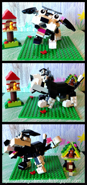 Spencer the Goldendoodle: Lego Dog