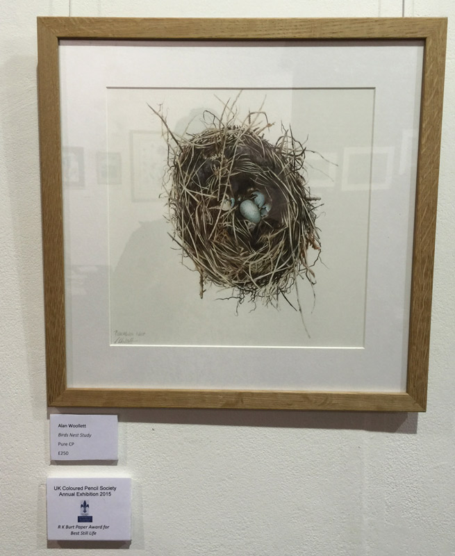 MAKING A MARK: Review: Bird Art by Alan Woollett