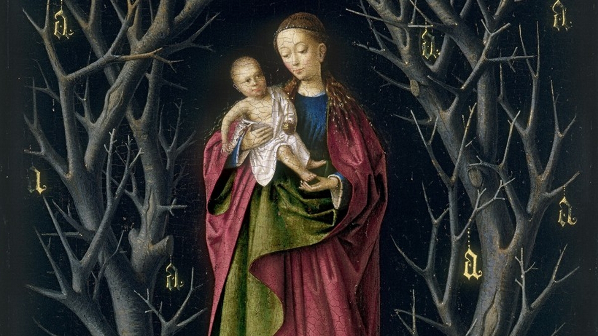 Viva Nossa Senhora!: A azinheira de Fátima e o Rosário