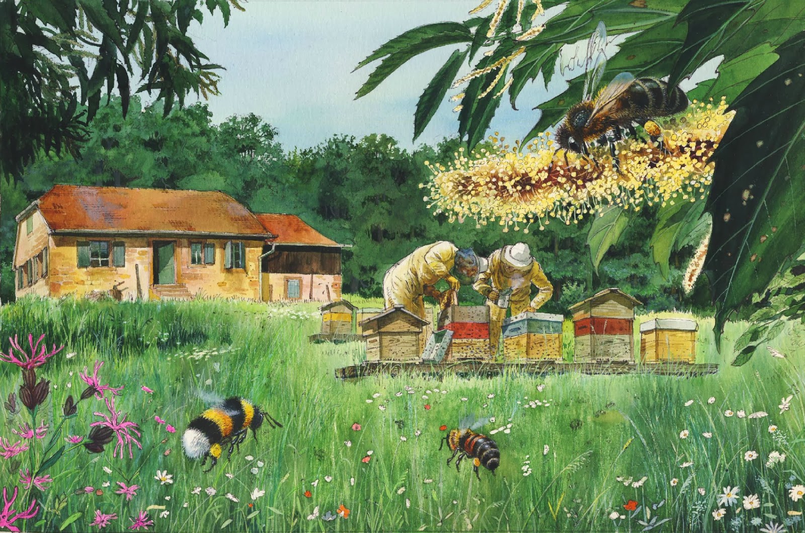 Corona Apicultores: LA APICULTURA