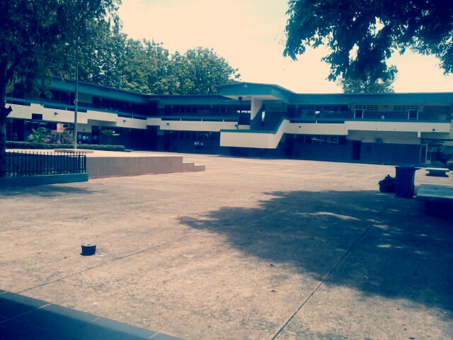 50 Años del Instituto David: 50 Años del Instituto David