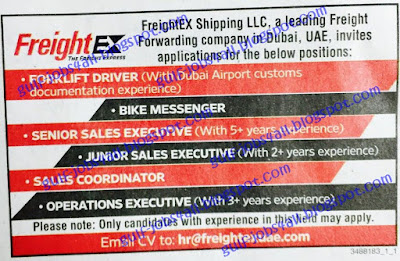 اعلان وظائف شركة شحن كبري في الامارات FreightEX Shipping لعدد من ...