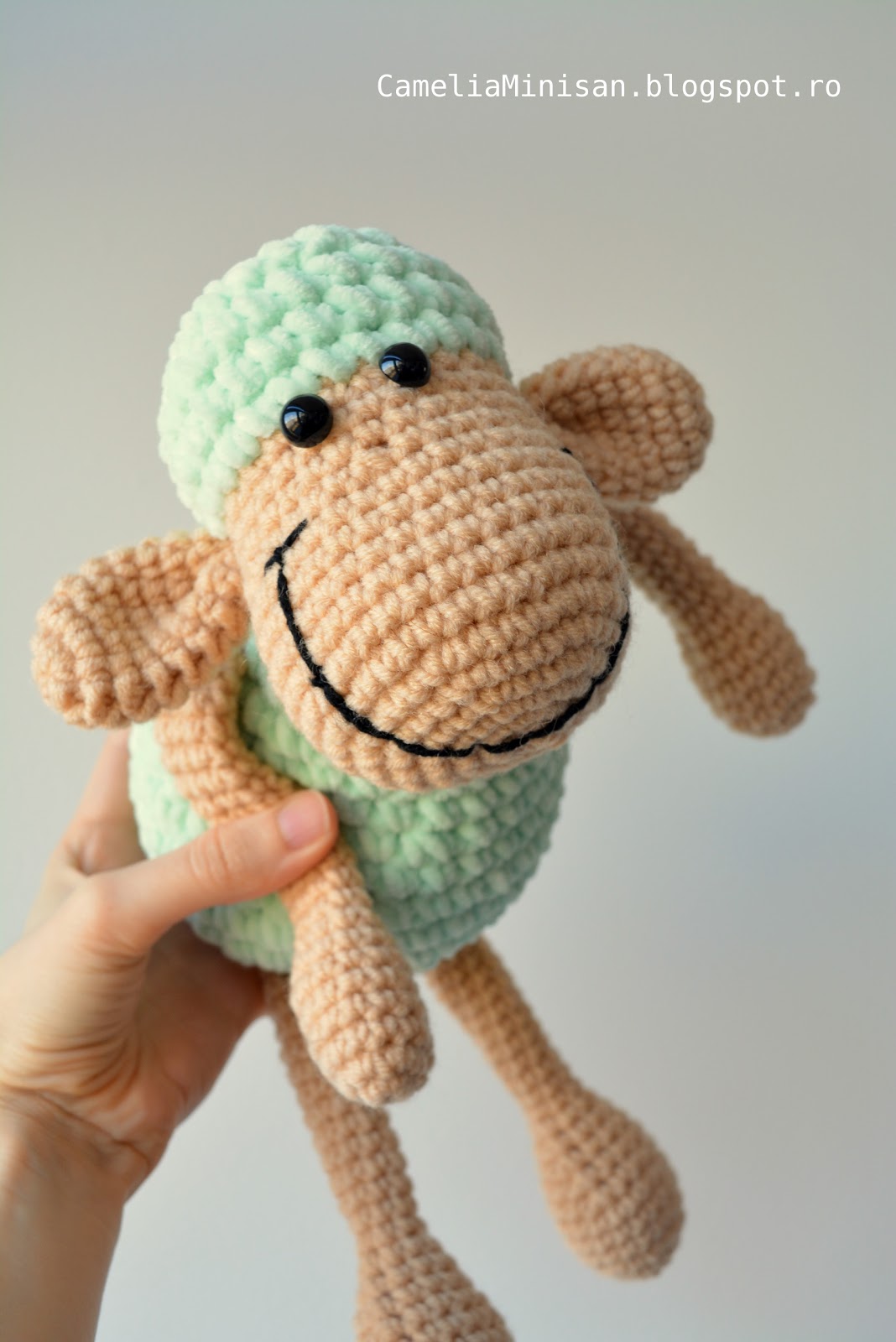 Camelia Minişan: Mielut Crosetat