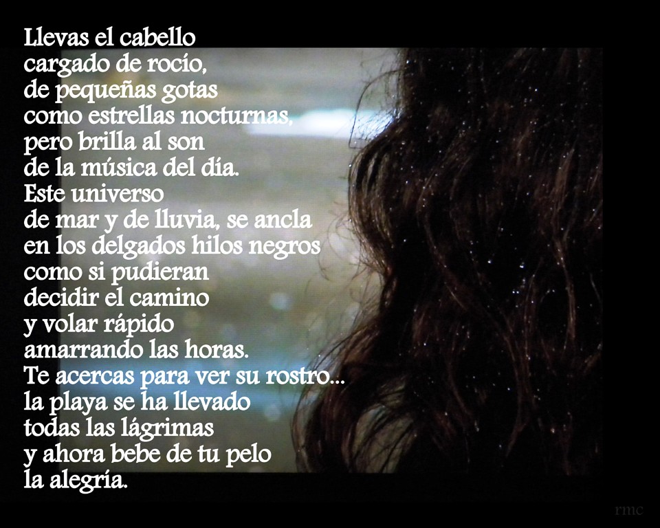 POESÍA Y TRANSICIONES: DE ROCÍO...