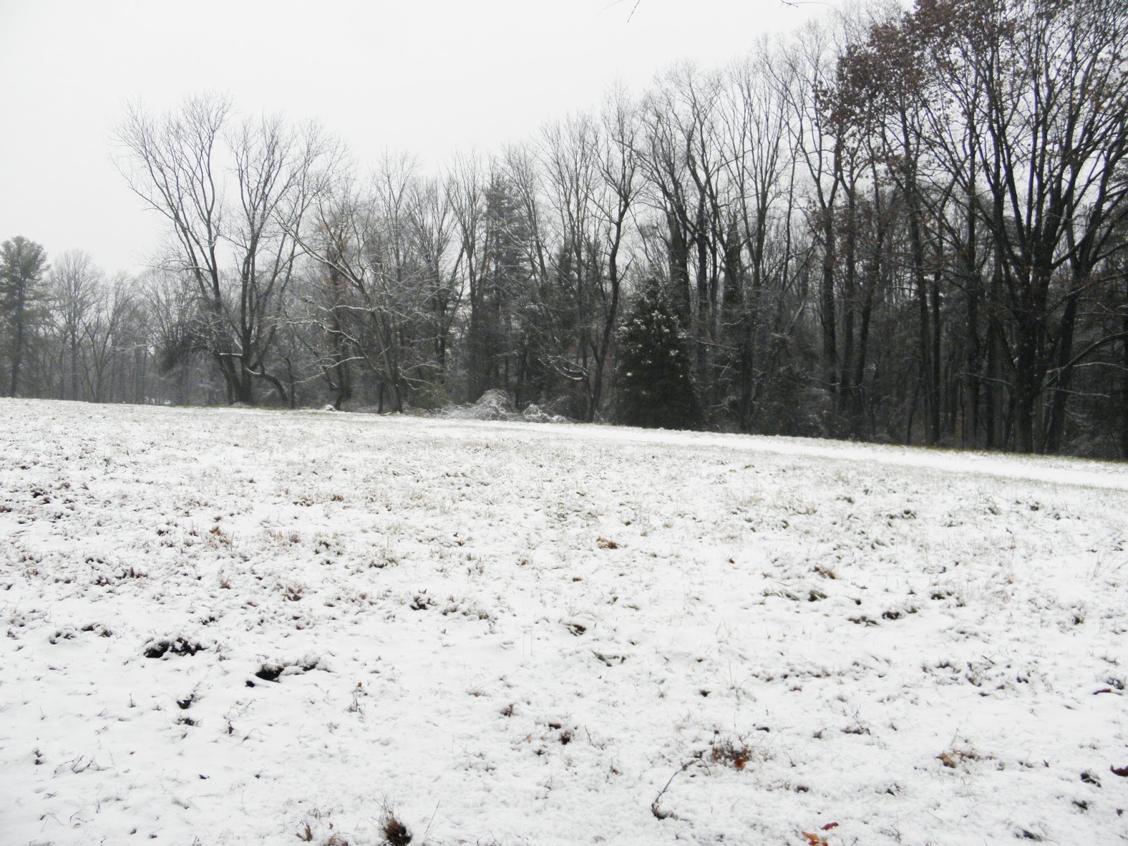 First Snowfall of the Season