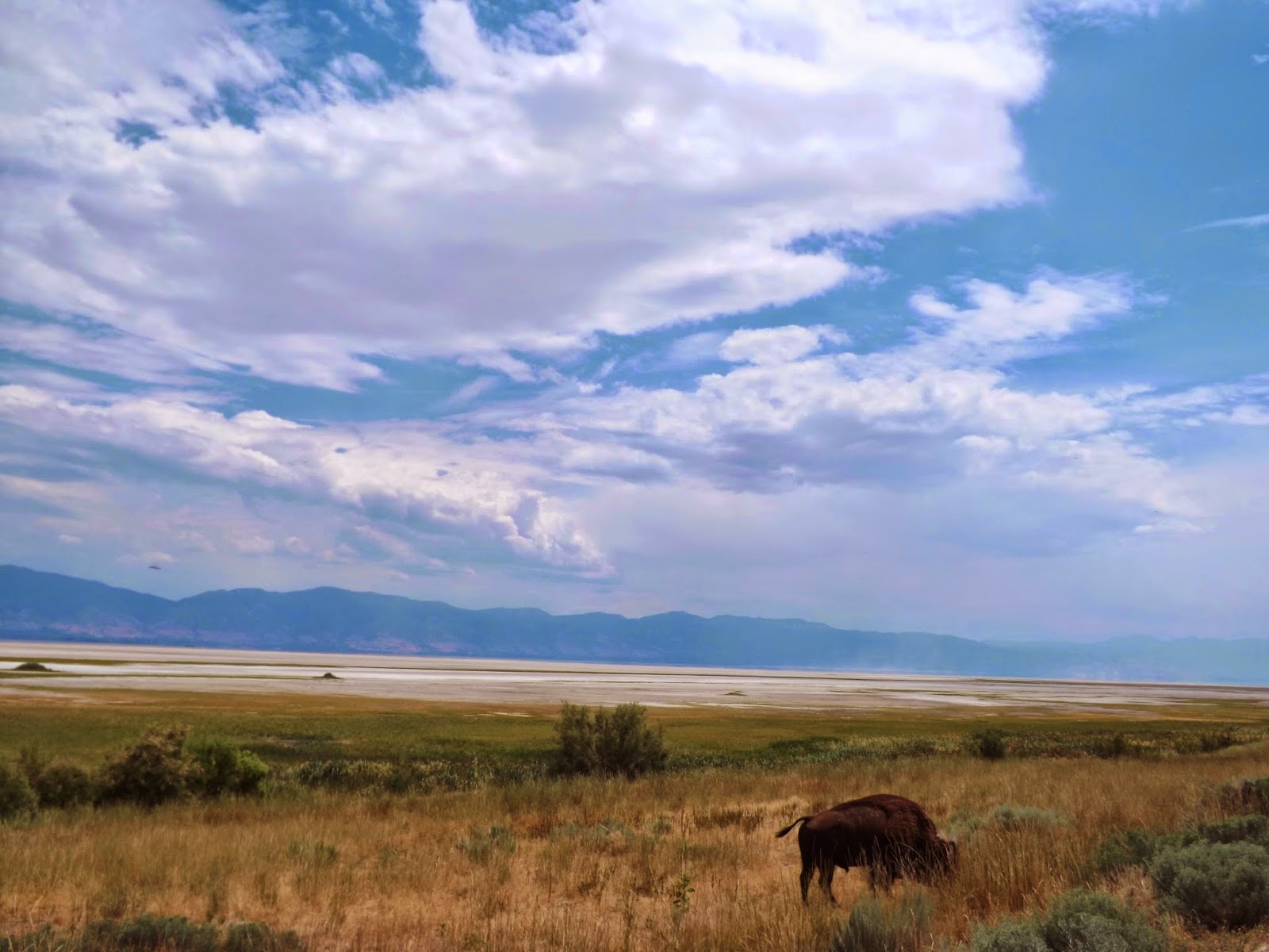 Hand Hug: Antelope Island