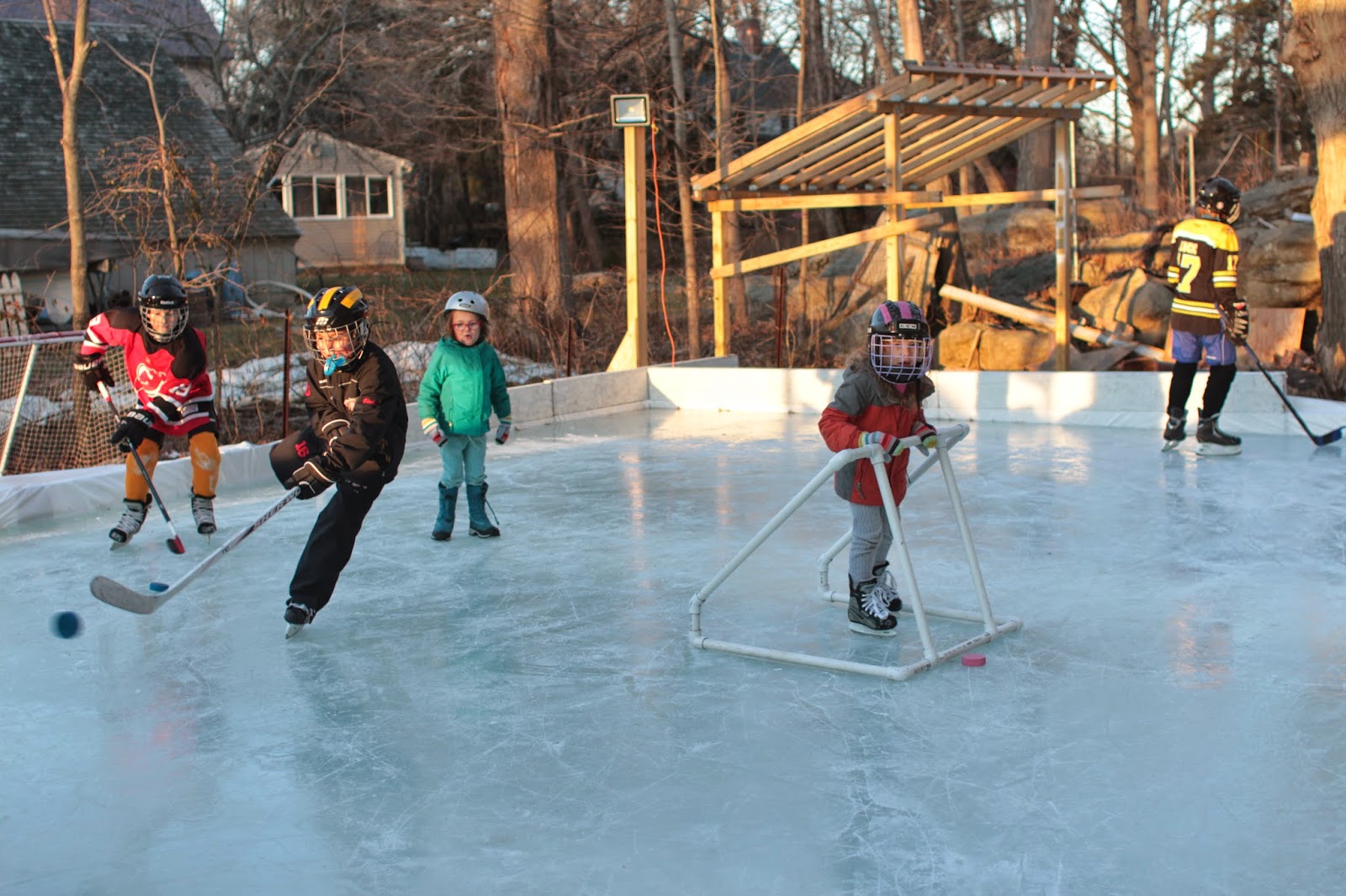 Ye Olde Crazeytowne Bakeree: Backyard Hockey