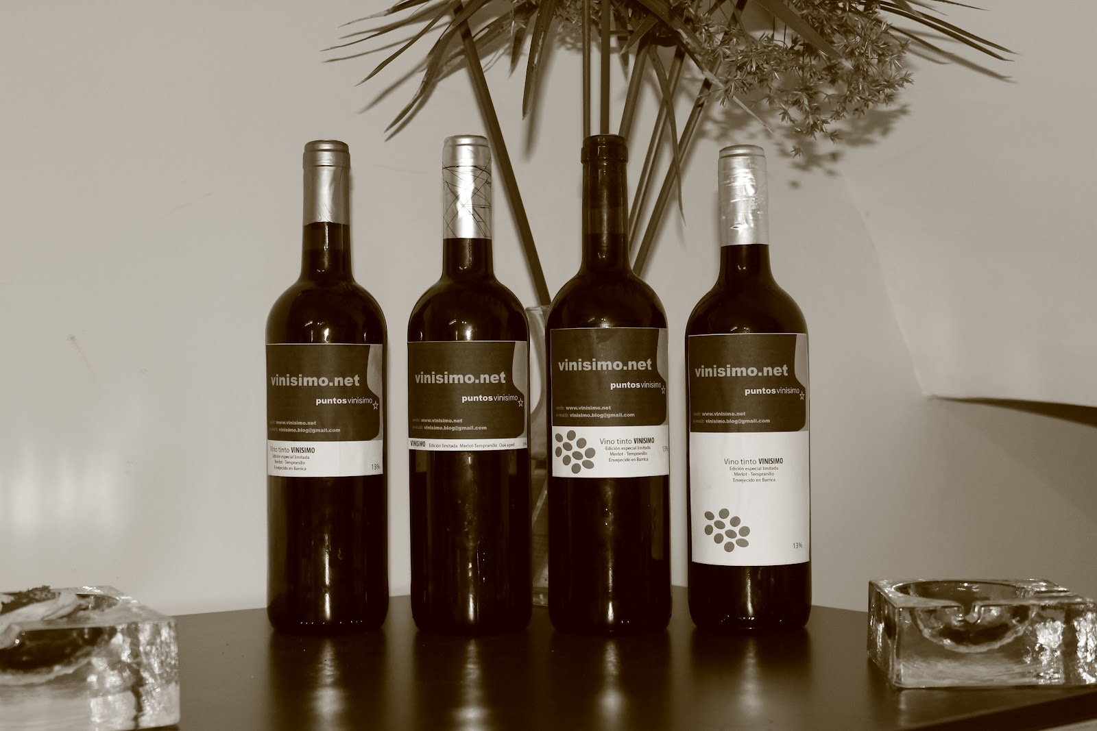 VINISIMO: HOY HACE CUATRO AÑOS NACÍA VINISIMO