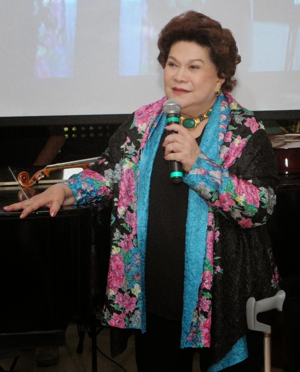 Celia Diaz Laurel's "The Colors of My Life" Coffee Table Book Launch ...