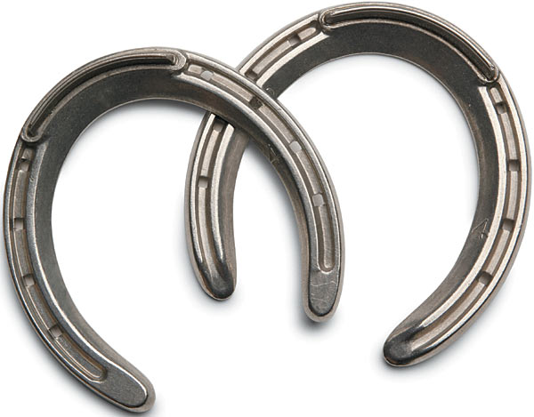 ThoroughBred Sport Horse: Horse Shoes