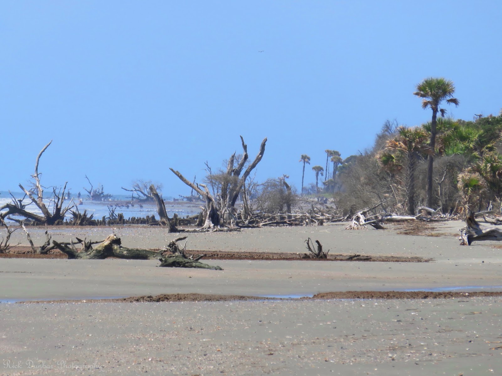 Vacation Rick: Charleston's Chain Of Beautiful Barrier Island Beaches ...