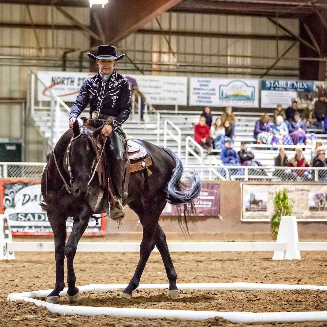 Cowboy Dressage: Arena Exercises #3: Challenge court