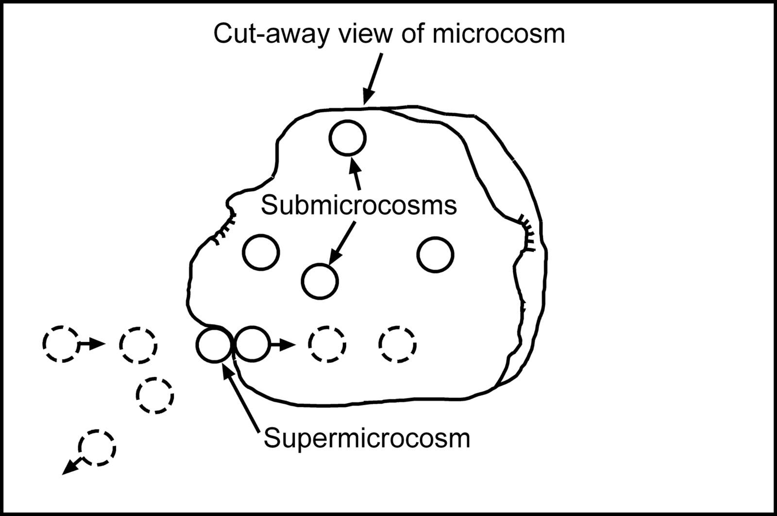 The Scientific Worldview: Negative mass?