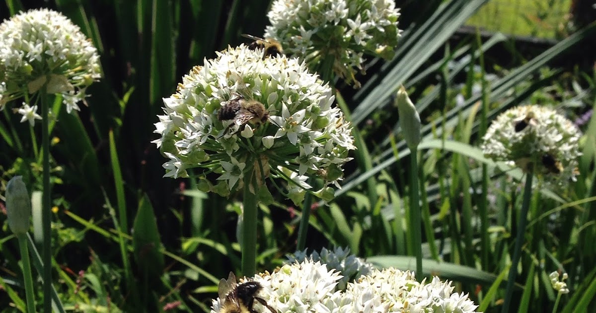 A New Day: Diversifying My Intake