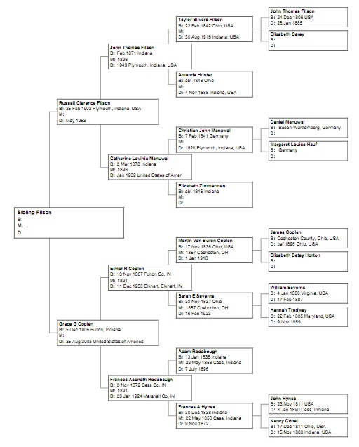 My Northern Ancestral Souls : Family Tree