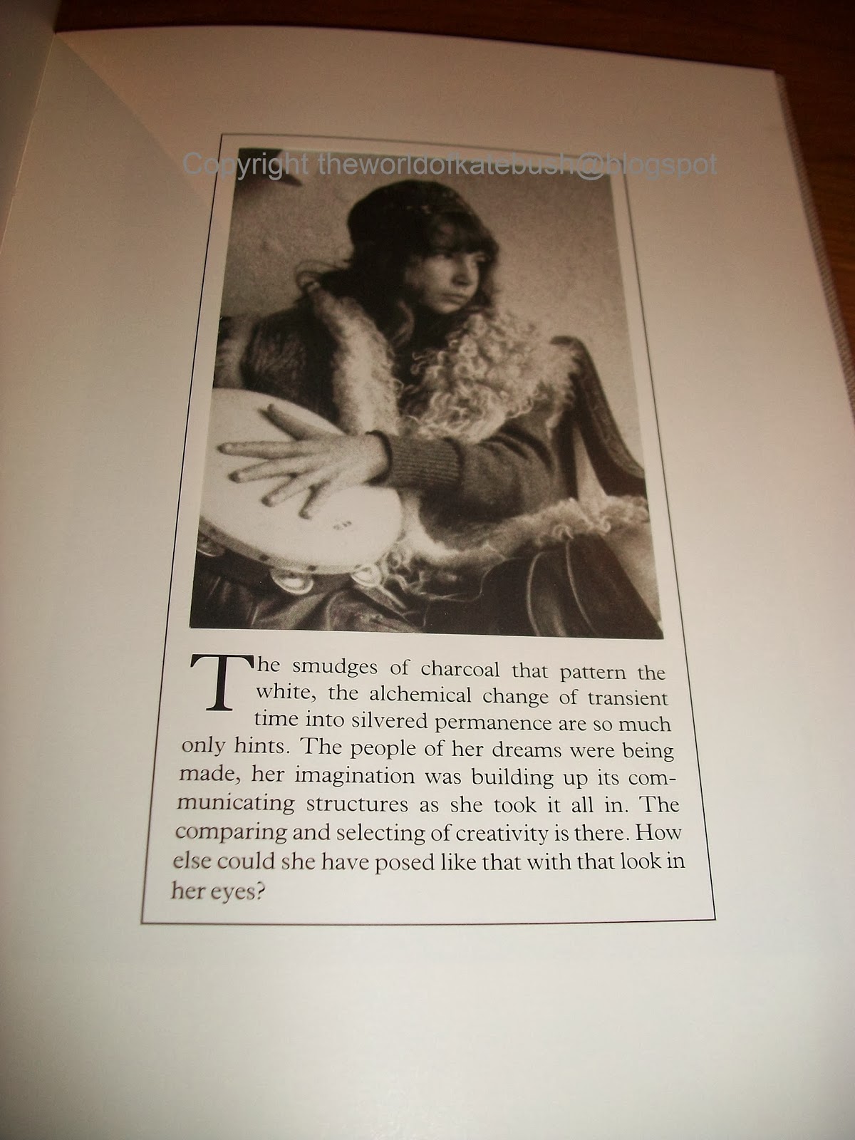 THE WORLD OF KATE BUSH: Cathy (Book)