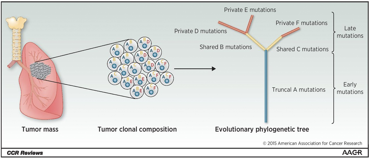 Biotechr: Evolving Therapeutics Part I: Immunotherapy