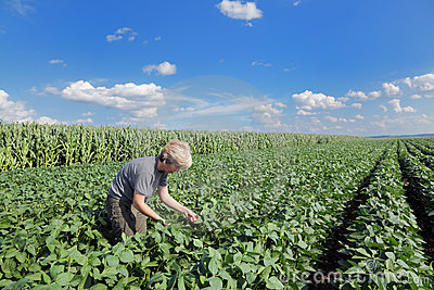 juancho...... : AGRONOMIA
