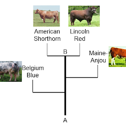 A Steak in Genomics™