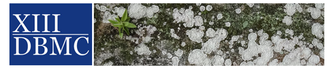 MATERIALS AND MATERIAIS: DIVULGAÇÃO - EVENTO XIII DBMC