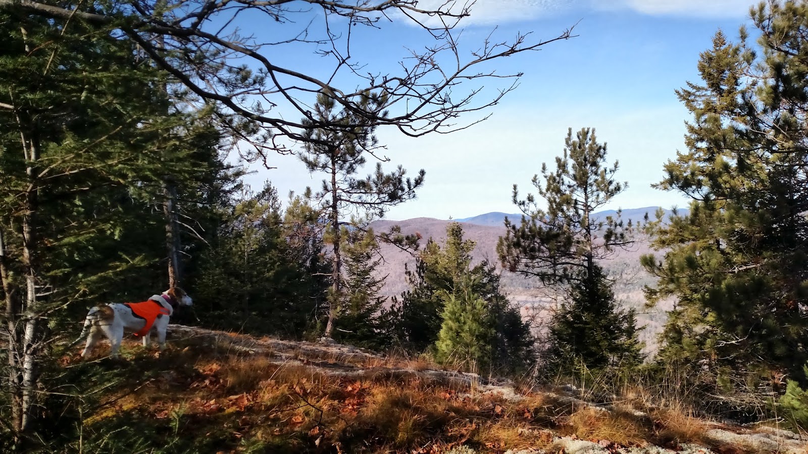 Off on Adventure: Ledge Hill - Vanderwhacker Mountain Wild Forest - 12/6/15