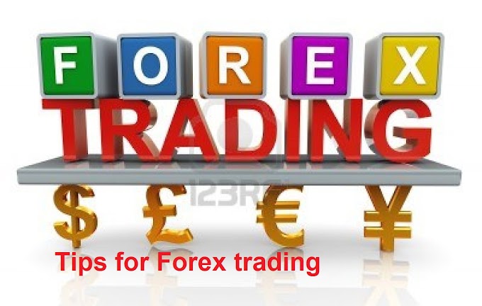 3 Highly Effective Forex Trading Tips for Beginner