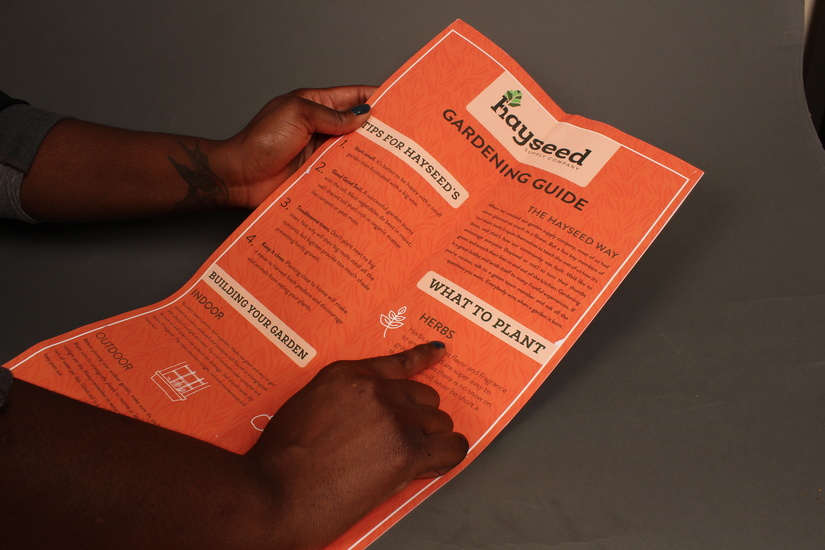 Hayseed (Student Project) – Packaging Of The World