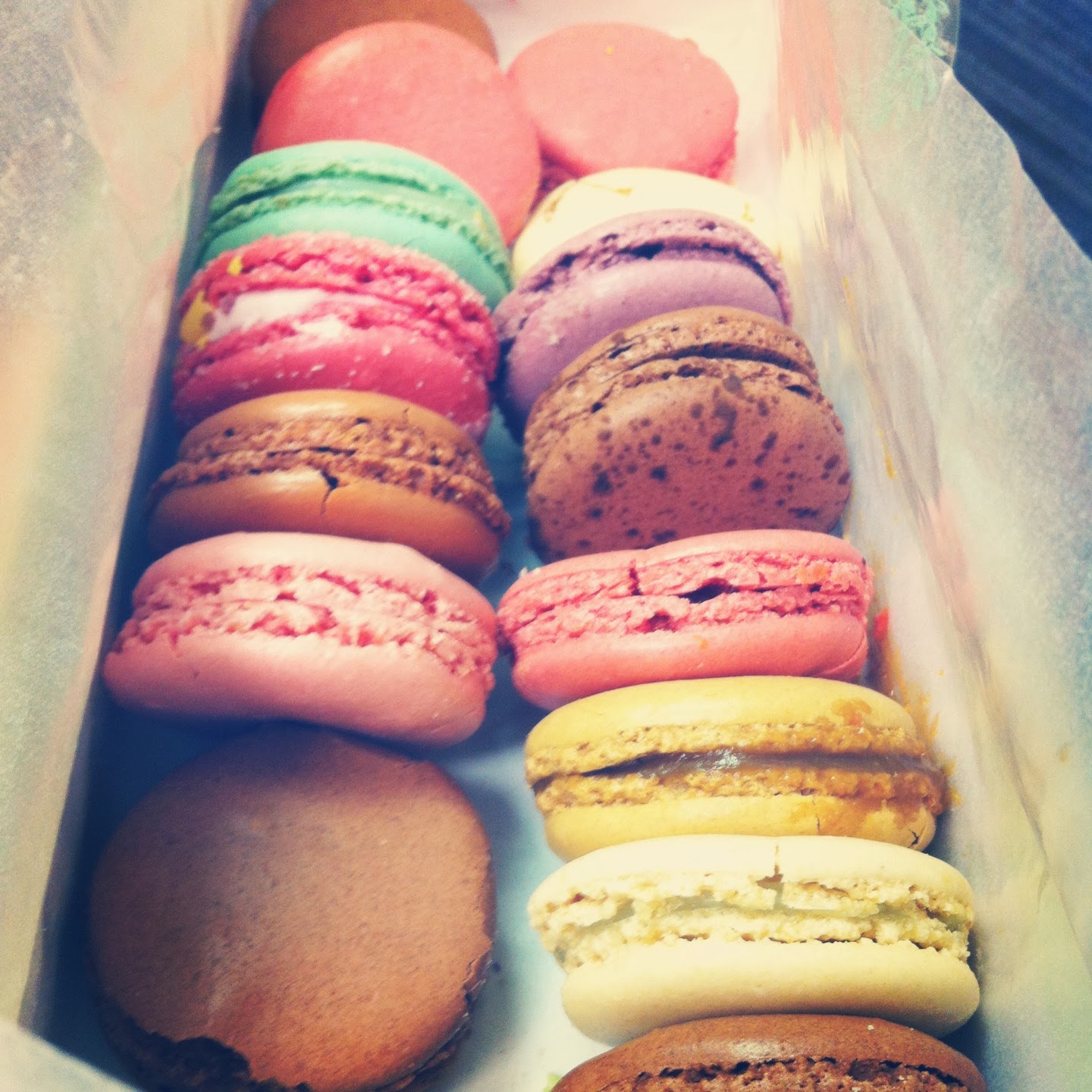 fox and gypsy: a few of our favorite things