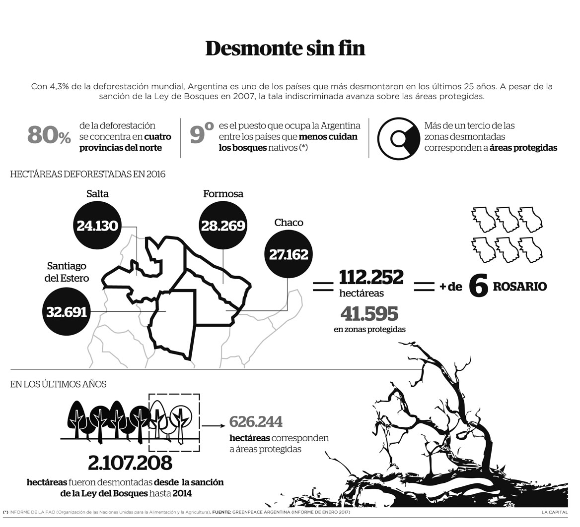 Infografia Online