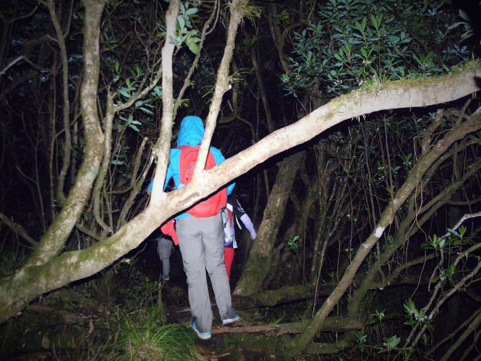 Hiking The Monkey Trails Of Mt. Tabayoc In Kabayan, Benguet