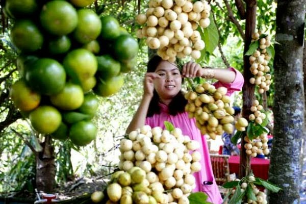 Lai Thieu Orchard and Cau Ngang Tourist Area - Binh Duong | Vietnam ...