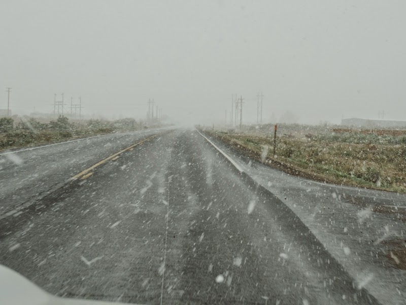 Flights of the Gosling