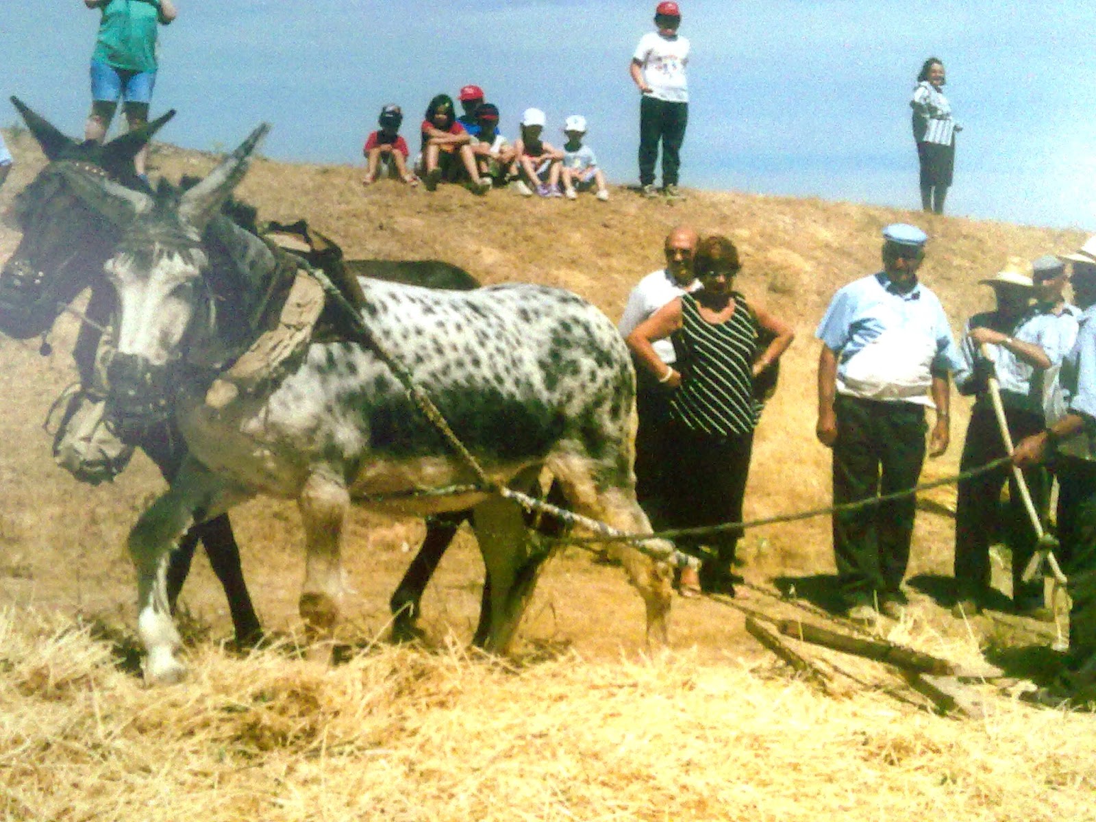 LA TRILLA | MUSEO VIRTUAL