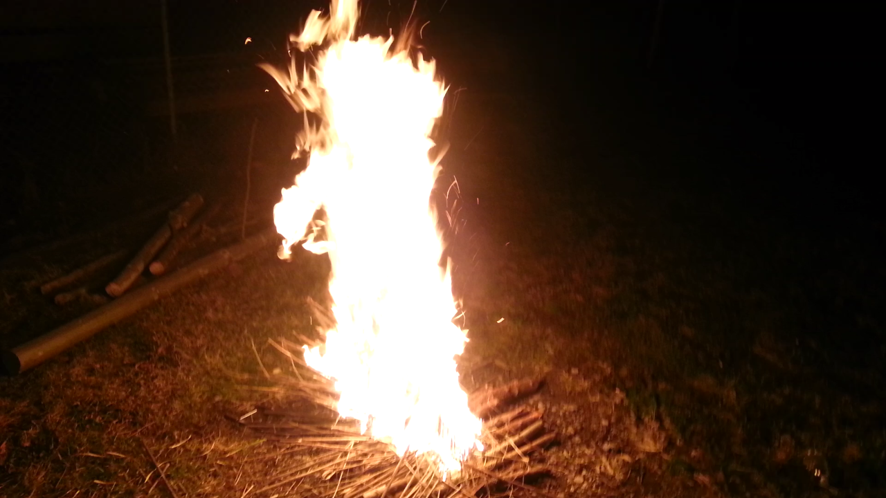 The 7 P's Blog: Twig Bundle Fire