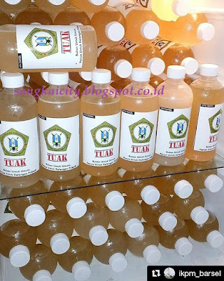 Tuak, Minuman Khas Suku Dayak | Sangkay City