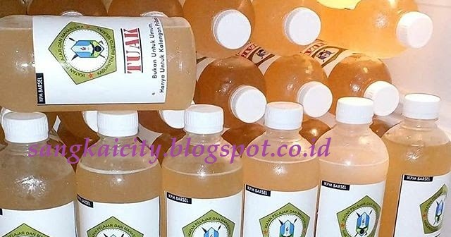 Tuak, Minuman Khas Suku Dayak | Sangkay City