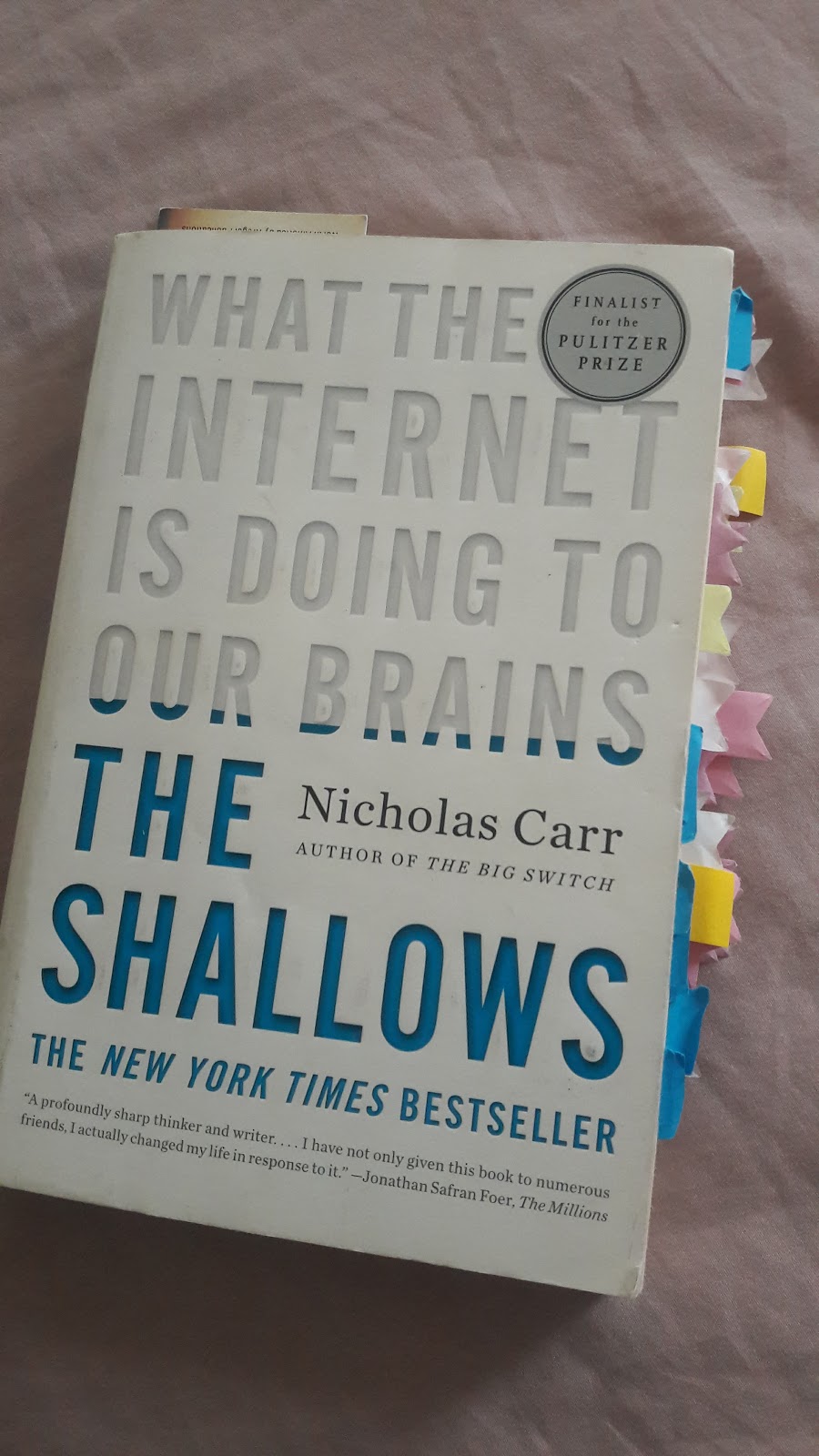 Worthwhile Books : The Shallows by Nicholas Carr