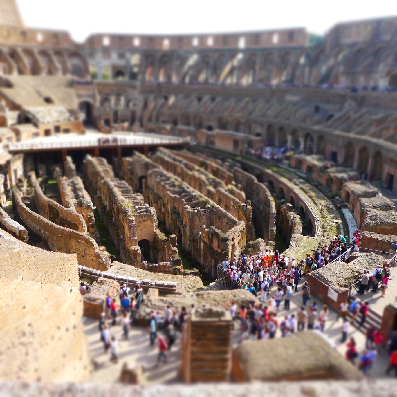 the allen family bermuda triangle: rome, 2013 (sites in the eternal city)