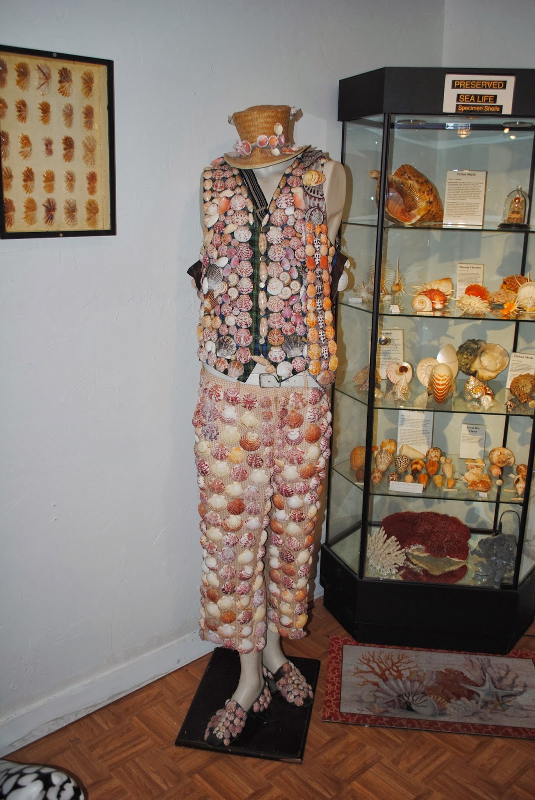 The Carpetbagger: The Shell Factory