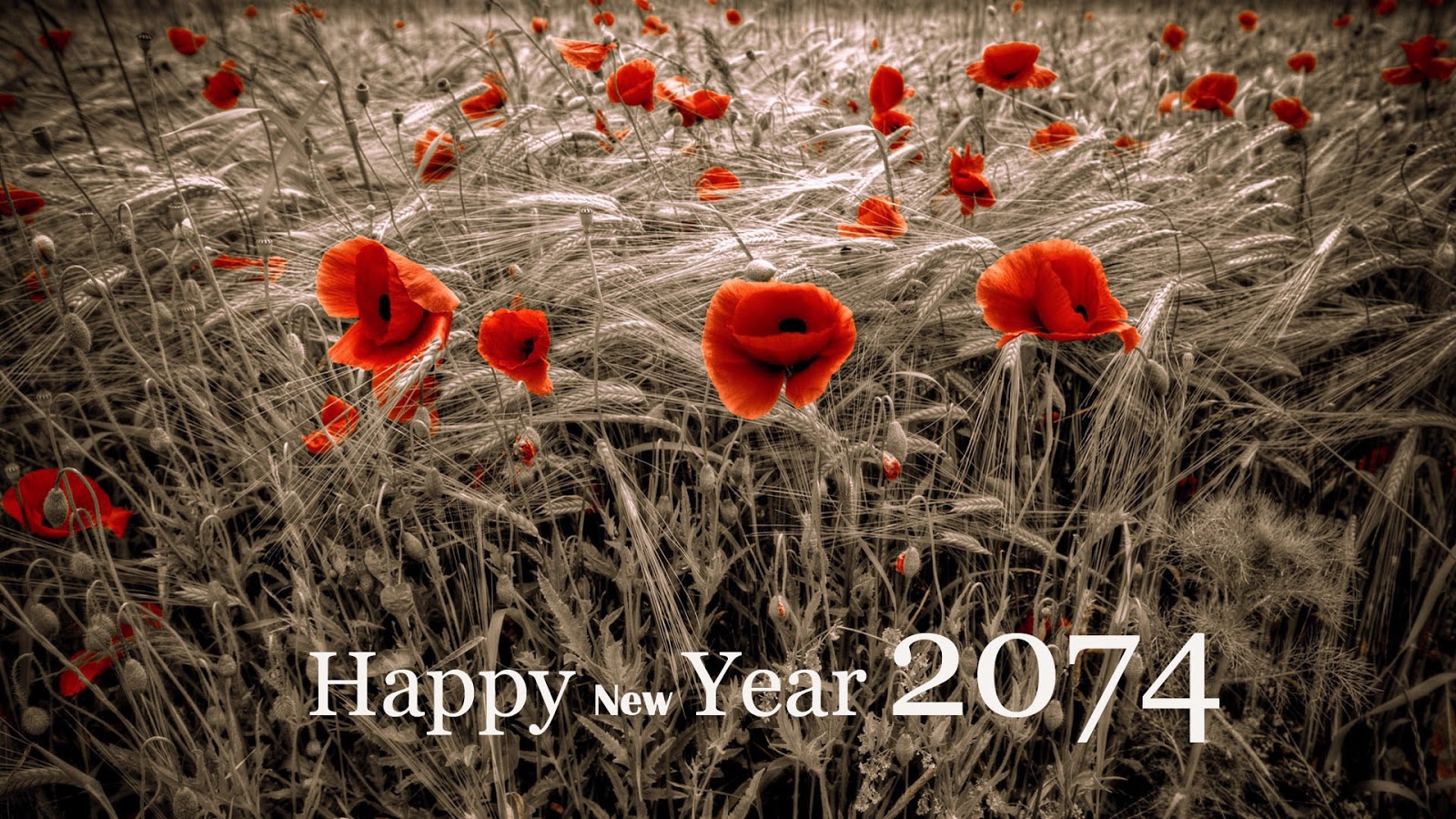 Wallpaper and Images : New Year 2074 Greetings Cards